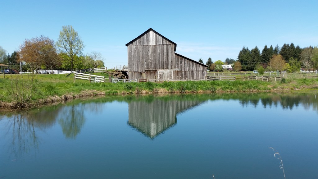 Spotlight: Beavercreek Demonstration Farm – Beavercreek Bulletin