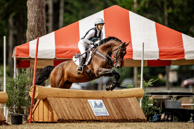 Spotlight: Jennifer Wooten- Macouzet – Beavercreek Bulletin